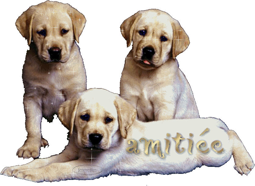 TUBE ET GIFS AMITIE - Page 5